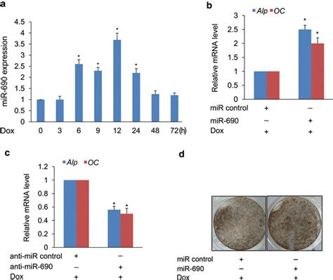 R 690 Synergistically Potentiates Runx2 Induced Osteogenic