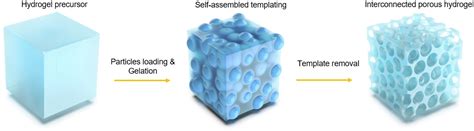 Silicone Hydrogel Materials At Milla Slessor Blog