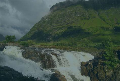 Ecosystem Services Cascade — Ecosystem Intelligence