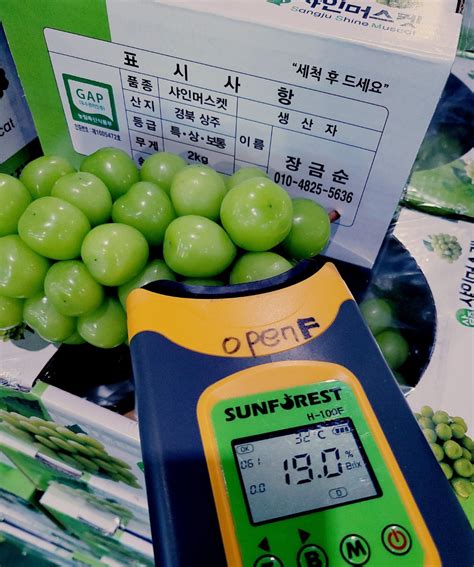 📣 새벽경매 특가샤인머스켓 한정수량 오늘도 샤인머스켓 특가 상품으로 진행 알이 크고 당도 좋은 샤인머스켓으로만 모아서 갓피플 푸른가게 Band