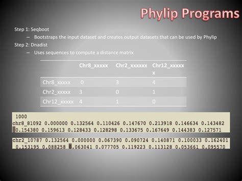 Ppt Bioinformatics And Supercomputing Powerpoint Presentation Free