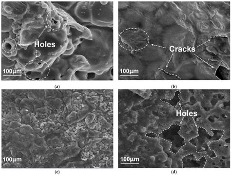 Materials Special Issue Advances In Bio Based Polymers