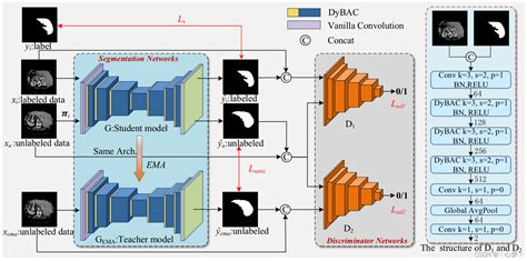 【医学分割】semi Supervised Medical Image Segmentation Network Ase Netsemi Supervised Medical Image