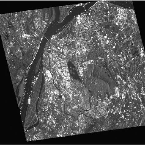 Sar Amplitude Image For Testing Download Scientific Diagram