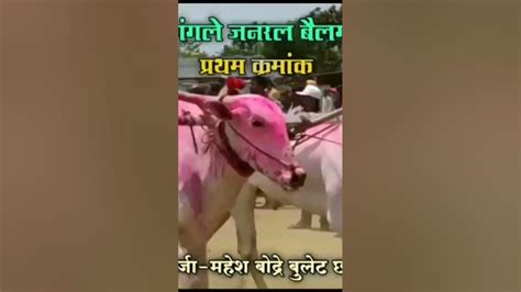 हातकणंगले बैलगाडी शर्यत बुलेटछब्या प्रथम🥇 🔥🔥 Youtube