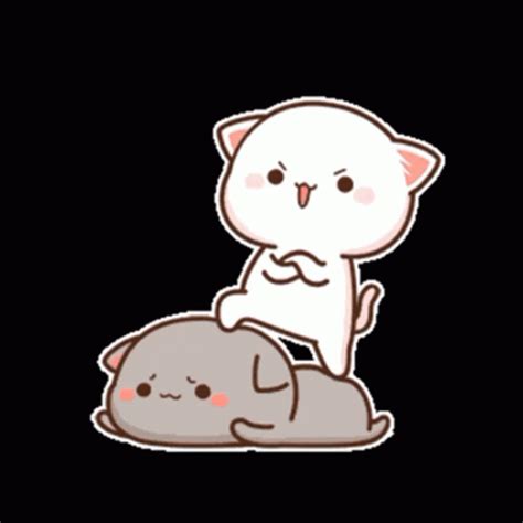 Funny Cat Massage S Tenor