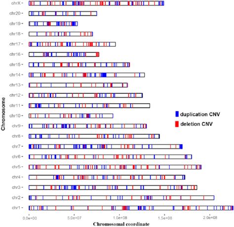 Genomic Distribution Of All Interspecific Cnvs Detected In Three Or