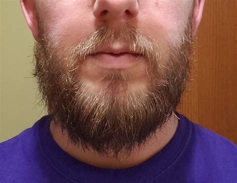 First Attempt At Growing My Beard Longer Than A Short Trim Should I Be