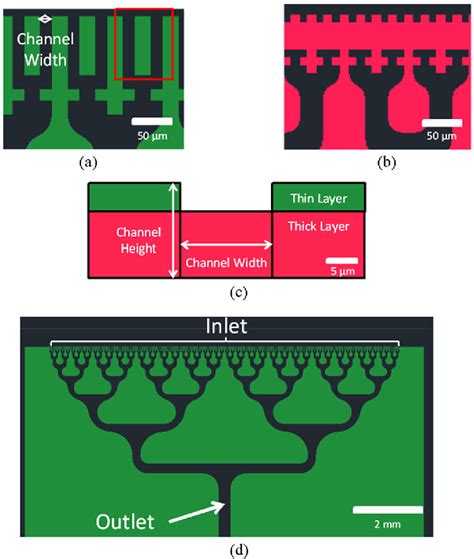 figure 1 from a high throughput automated microinjection system for