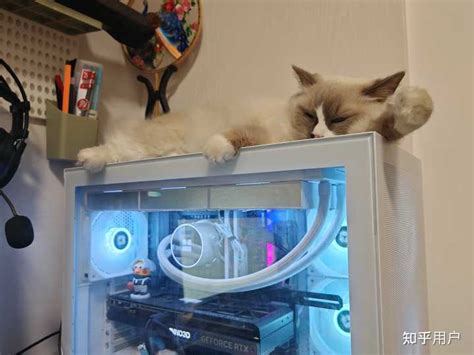 现在的因特尔处理器都是有缩缸风险吗？个人不太分得清cpu缩缸因素的区别。还有amd现在还积热吗？ 知乎