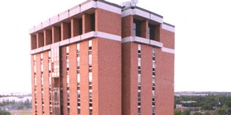 When I Update A Dependency In My Project The Coding Love Programmer