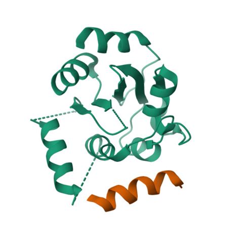 Rcsb Pdb 7fdl Crystal Structure Of Transcription Factor Wer In Complex With Egl3