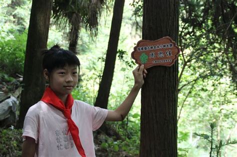 岑巩县开展“小树长11”选配暨保护古树名木志愿服务活动少先队员组织姚姚