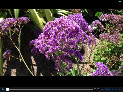 Ios Yuv 420v Using Gltexture2d Shows Wrong Colour In Opengl Shader
