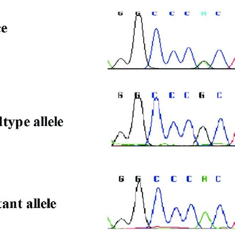 Genetic Testing For The Por Gene Download Scientific Diagram