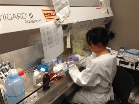 Aseptic Technique Microbiology Class