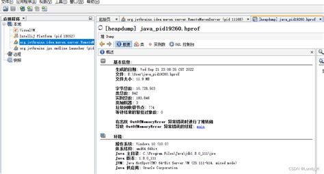 十三、jvm调优工具及案例分析java Visualvm分析 Dump Csdn博客
