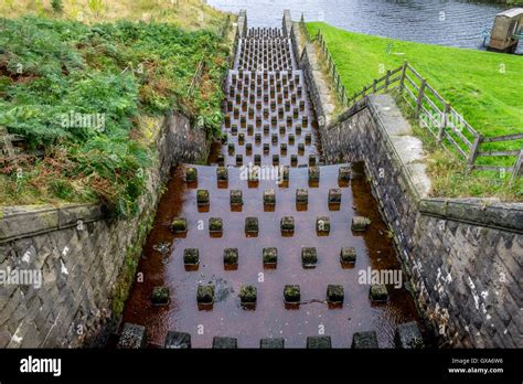 An Overflow From One Reservoir To Another The Overflow Has Segments Protruding To Stop Debris