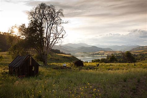 Methow Vadisi Fotoğraflar Stok Fotoğraf Resimler Ve Görseller Istock