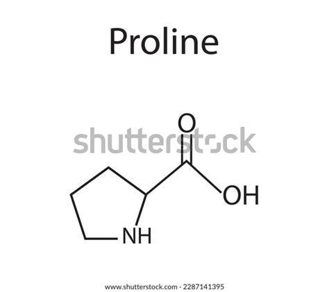 Proline Amino Acid Formula Structure Chemical Stock Vector Royalty Free 2287141395 Shutterstock
