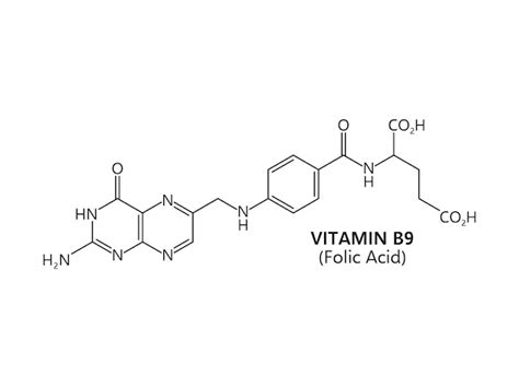 La Vitamina B9 O ácido Fólico Tiene Una Fórmula Molecular Vector Premium