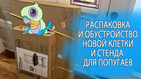 ОБЗОР И ОПТИМАЛЬНОЕ ОБУСТРОЙСТВО КЛЕТКИ И СТЕНДА ДЛЯ ПОПУГАЕВ - YouTube