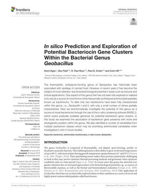 Pdf In Silico Prediction And Exploration Of Potential Bacteriocin Gene Clusters Within The