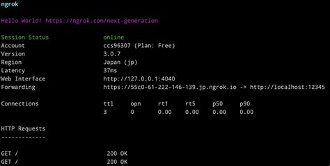 Linux 使用 ngrok 搭建臨時的伺服器並轉發端口 Clay Technology World