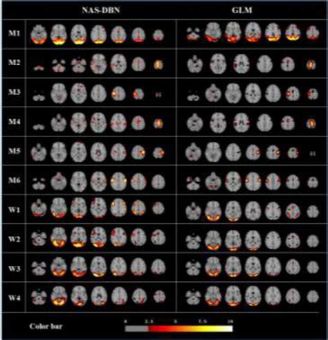 Figure 2 From Modeling Task Based Fmri Data Via Deep Belief Network