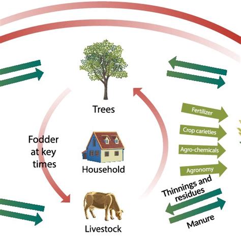 Provisioning Regulating Supporting And Cultural Ecosystem Services