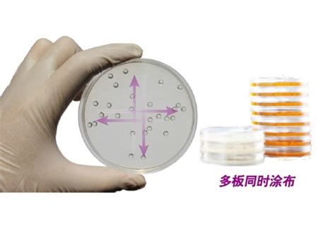 平板涂布玻璃珠（无菌）（gb101）价格品牌tiangen 丁香通官网