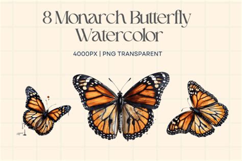 Monarch Png Elements Clipart Graphic Graphic By Akimtancreative
