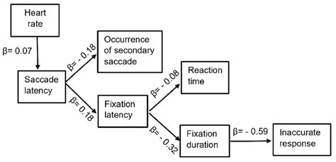Illustration Of Final Path Models For The Indirect Effects Of The Download Scientific Diagram