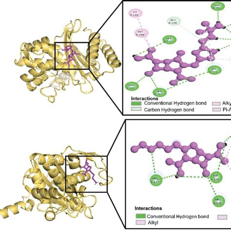 A Livedead Mrab Bacterial Viability Test By Confocal Laser Scanning