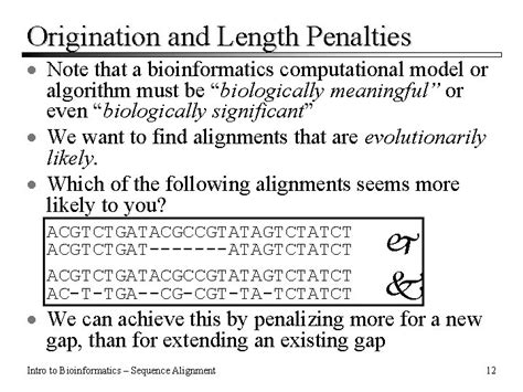 introduction to bioinformatics sequence alignments sequence alignments