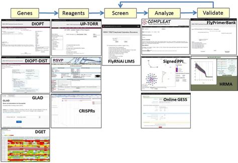 Using Online Tools In A Functional Genomics Workflow Various Online Download Scientific