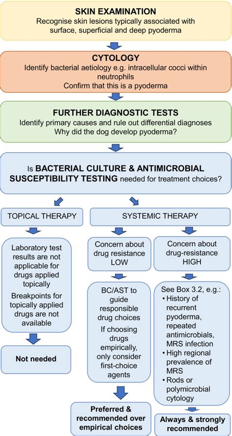 Antimicrobial Use Guidelines For Canine Pyoderma By The International