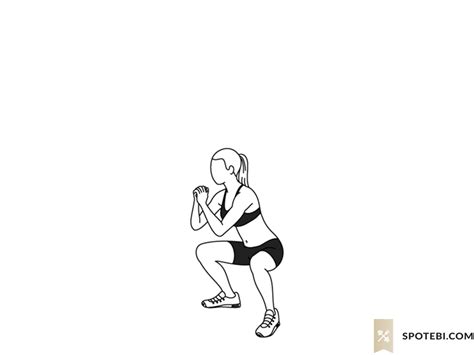 Double Pulse Squat Jump Exercise Illustration