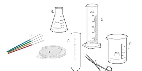 Equipment Labeling Adv Bio Stump Diagram Quizlet