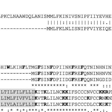 A Global Emboss Needle Pairwise Alignment Of The Putative U4 Download Scientific Diagram