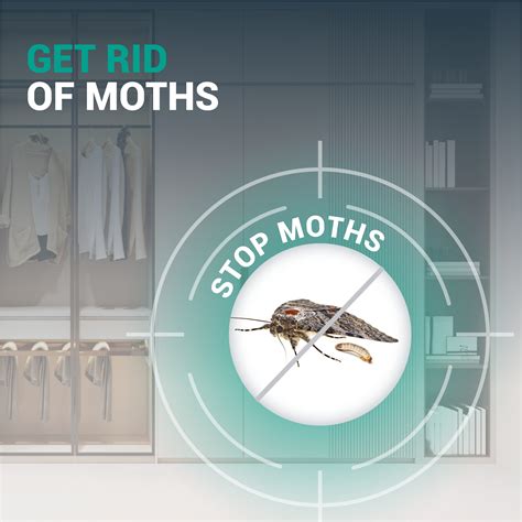 Food And Clothes Moth Spray Sereni D®