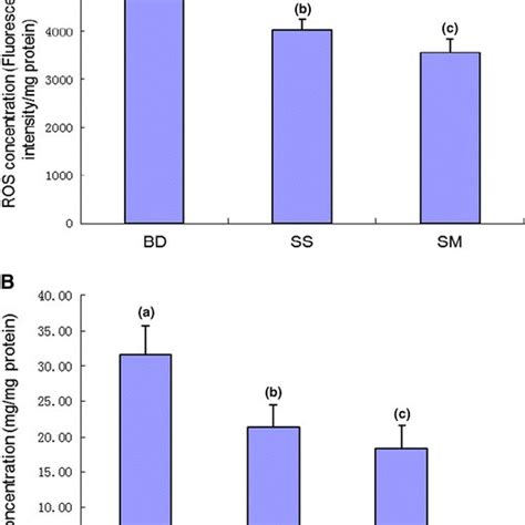 Effects Of Different Sources Of Maternal Selenium On Selp Mrna A And Download Scientific