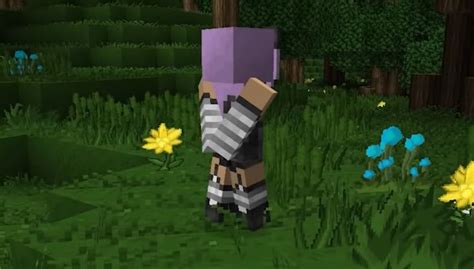 Pin By Hailey Parsons On Michi Aphmau Soccer Field Make Design