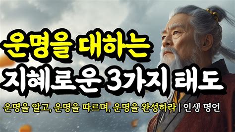 운명을 알고 운명을 따르며 운명을 완성하라 채근담 공자 석가모니 명심보감 루소 파스칼 발타자르 그라시안 쇼펜하우어 운명을 대하는 지혜로운 3가지 태도