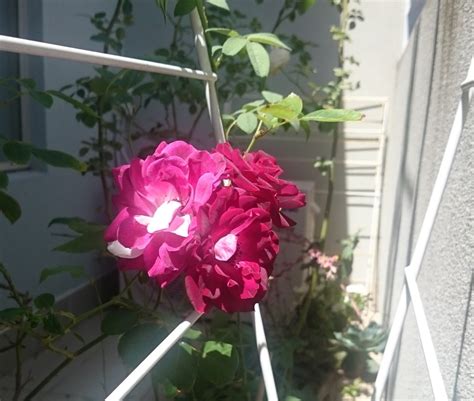 The Power Of Powerlessness