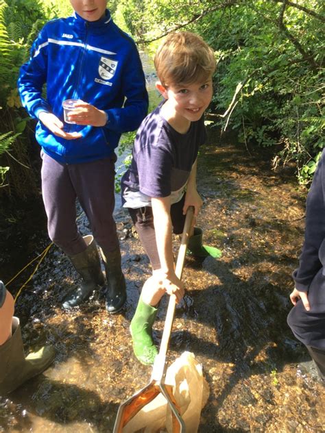 What Is Kick Sampling At Nicholas Heaton Blog