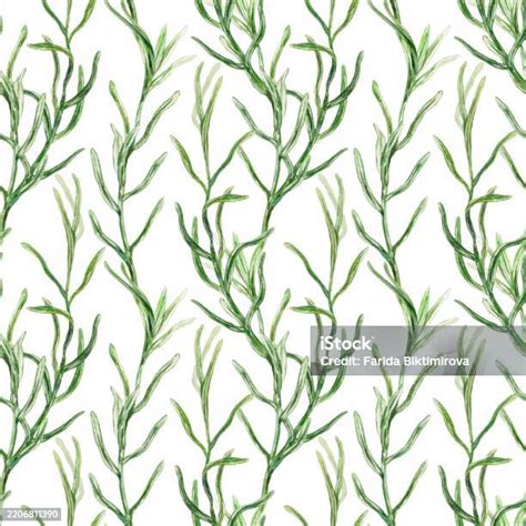 녹색 나뭇 가지 완벽 한 패턴입니다 손으로 그린 수채화 식물의 그림은 흰색에 고립되어 있습니다 섬유 커버 직물 포장지 벽지 0명에 대한 스톡 벡터 아트 및 기타 이미지