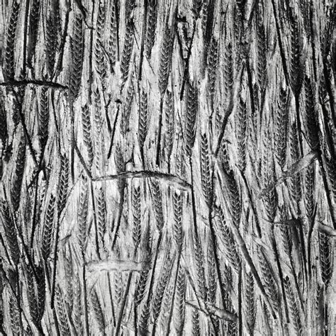 85000 Tree Trunk Pattern Pictures