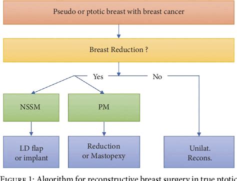 Figure 1 From Useful Reduction Mammoplasty Technique In Oncoplastic