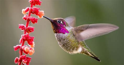 What Is Faster Shutter Speed At Ellie Ridley Blog